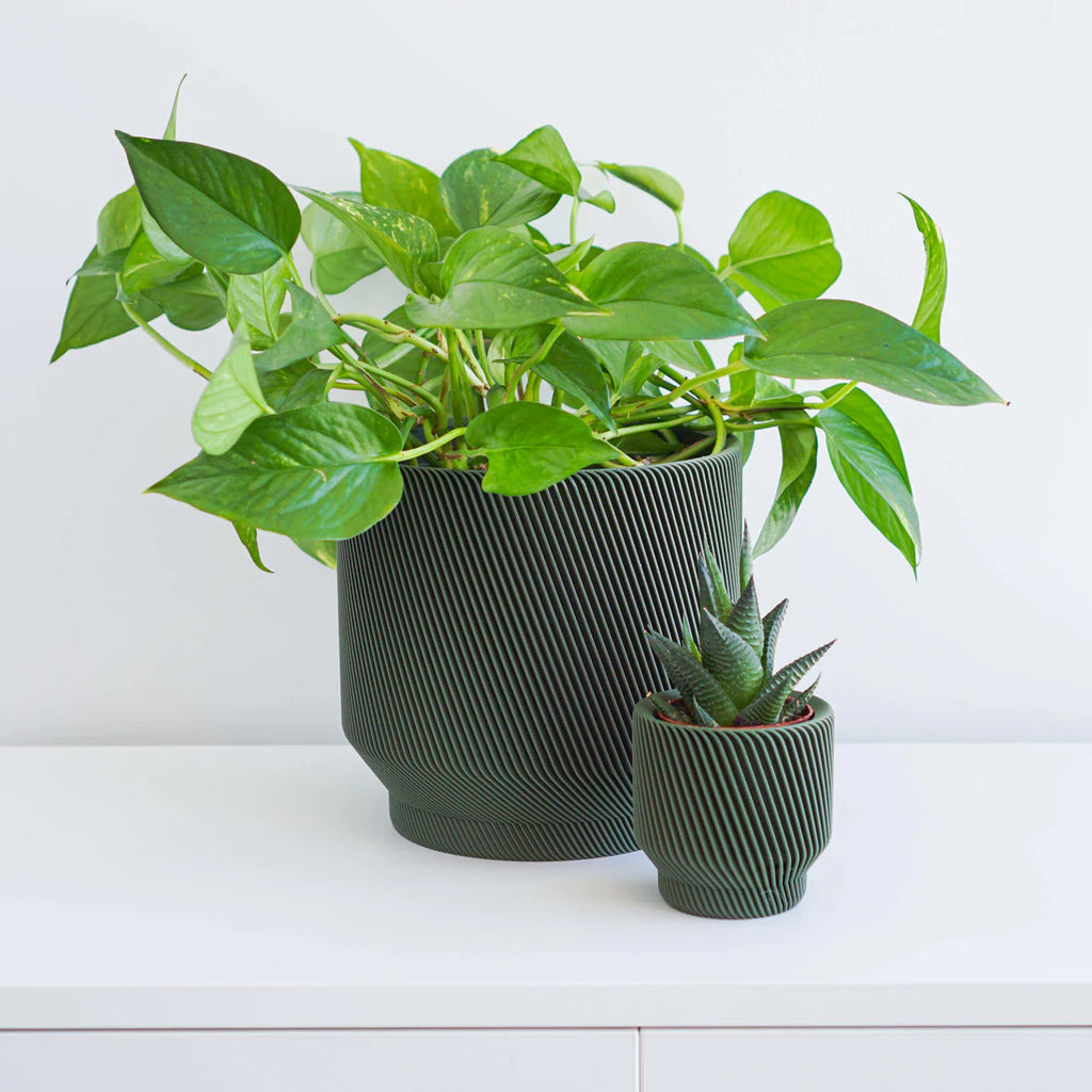 Spruce Planter – Hoxton Home
